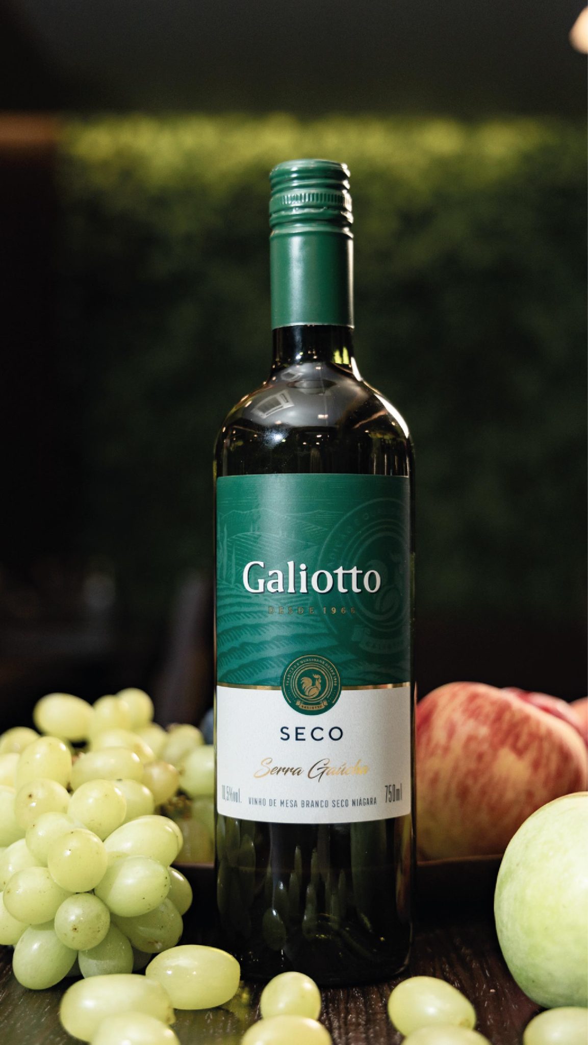 Niágara Seco - Galiotto